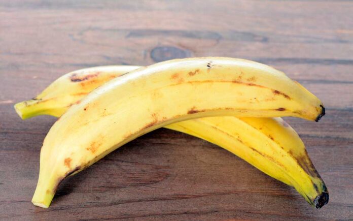 Banana terra - Banana nanica - Banana Prata - Diferenças e como usa-las