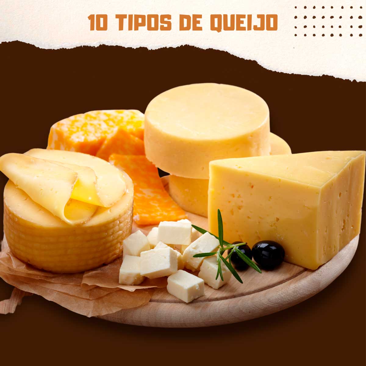 10 Tipos de Queijo: Sabores para Enriquecer Sua Mesa