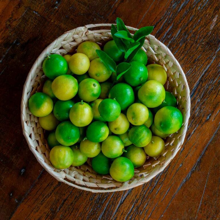 Limão Galego - Caracteristicas, Origem e Benefícios